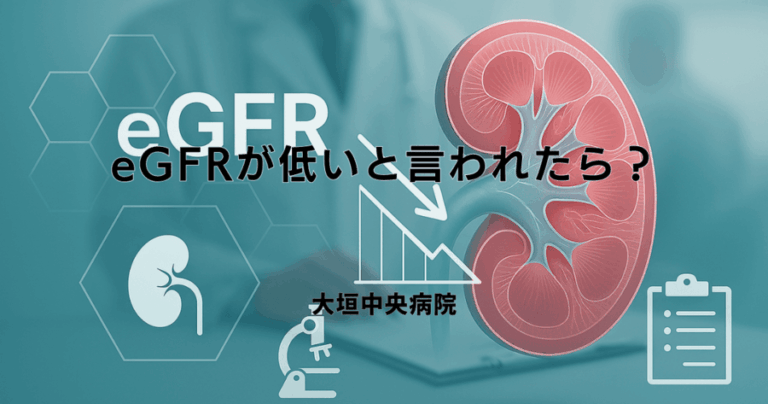 eGFRが低いと言われたら？腎機能低下の原因と今後の対策 | 医療法人社団豊正会 大垣中央病院